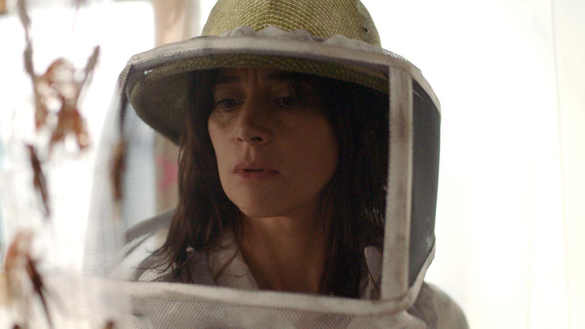 รีวิว The Swarm (Netflix) หนังตั๊กแตนกินคนที่เกือบไม่ได้กินคนเพราะมัว ...